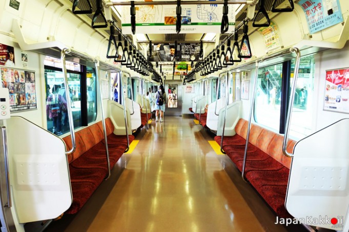[รีวิว] Hitachi Seaside Park ชมทุ่งดอก Nemophila สุดอลังการ