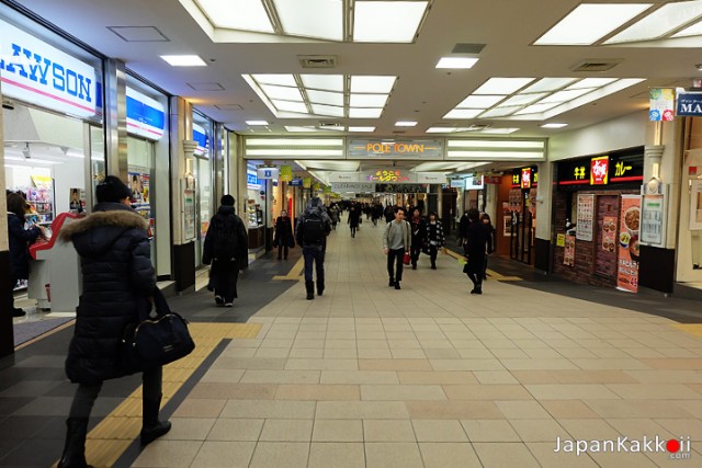 [รีวิว] เดินเที่ยวบนดินและใต้ดินใจกลางเมืองซัปโปโร (Susukino - Odori)