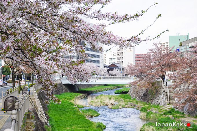 [รีวิว] เที่ยวมัตสึโมโตะ (Matsumoto) เดินชมปราสาทและถนนย้อนยุค