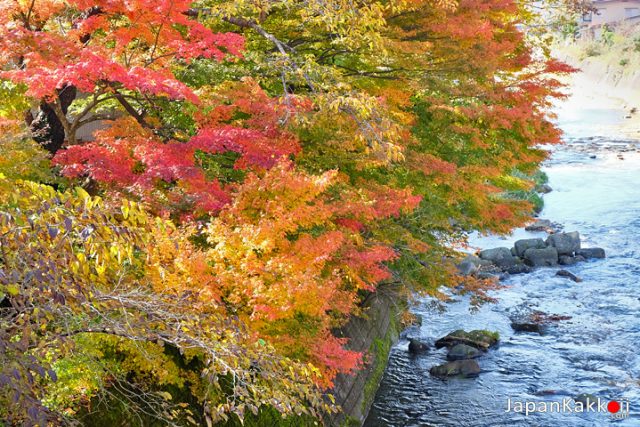 [รีวิว] การเดินทางจากเซนไดไปยามาเดระ (Sendai - Yamadera)