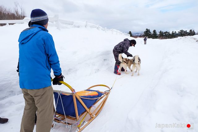 [รีวิว] เที่ยวฟุราโนะ (Furano) ที่ฟาร์ม Furano Trekking Support YUMA