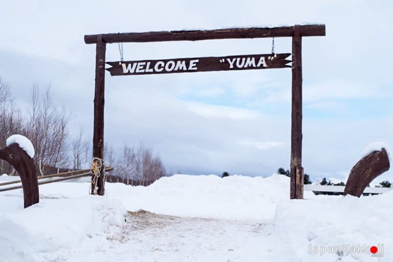 [รีวิว] เที่ยวฟุราโนะ (Furano) ที่ฟาร์ม Furano Trekking Support YUMA