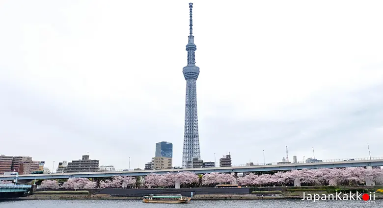 Sumida River | สถานที่ท่องเทียว