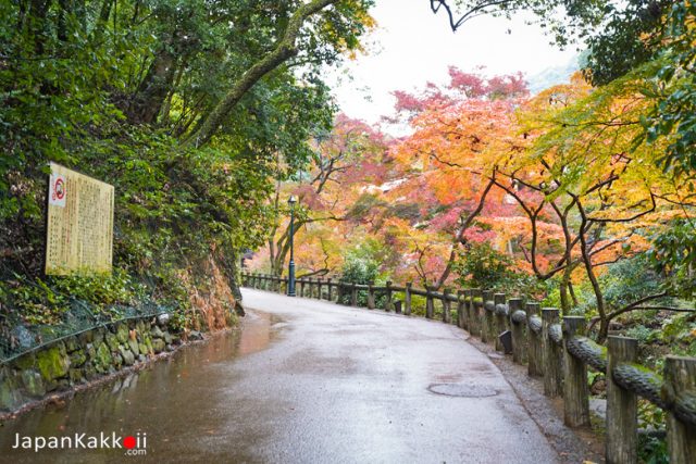 [รีวิว] น้ำตกมิโน (Minoo Park) ชมใบไม้เปลี่ยนสีในโอซาก้า