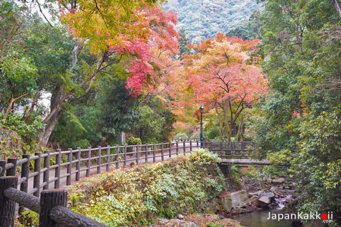 [รีวิว] น้ำตกมิโน (Minoo Park) ชมใบไม้เปลี่ยนสีในโอซาก้า