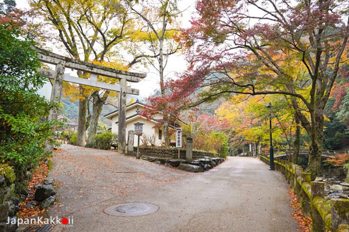 [รีวิว] น้ำตกมิโน (Minoo Park) ชมใบไม้เปลี่ยนสีในโอซาก้า