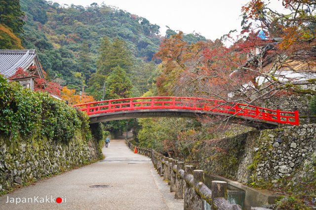[รีวิว] น้ำตกมิโน (Minoo Park) ชมใบไม้เปลี่ยนสีในโอซาก้า