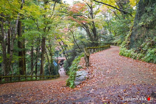 [รีวิว] น้ำตกมิโน (Minoo Park) ชมใบไม้เปลี่ยนสีในโอซาก้า