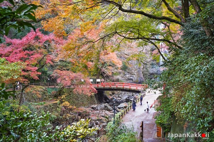 [รีวิว] น้ำตกมิโน (Minoo Park) ชมใบไม้เปลี่ยนสีในโอซาก้า