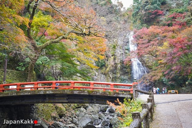 [รีวิว] น้ำตกมิโน (Minoo Park) ชมใบไม้เปลี่ยนสีในโอซาก้า
