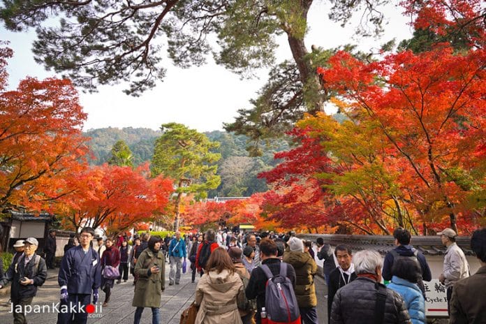 [รีวิว] วัดเอคันโด (Eikando Temple) ชมใบไม้เปลี่ยนสีสวยๆ ในเกียวโต