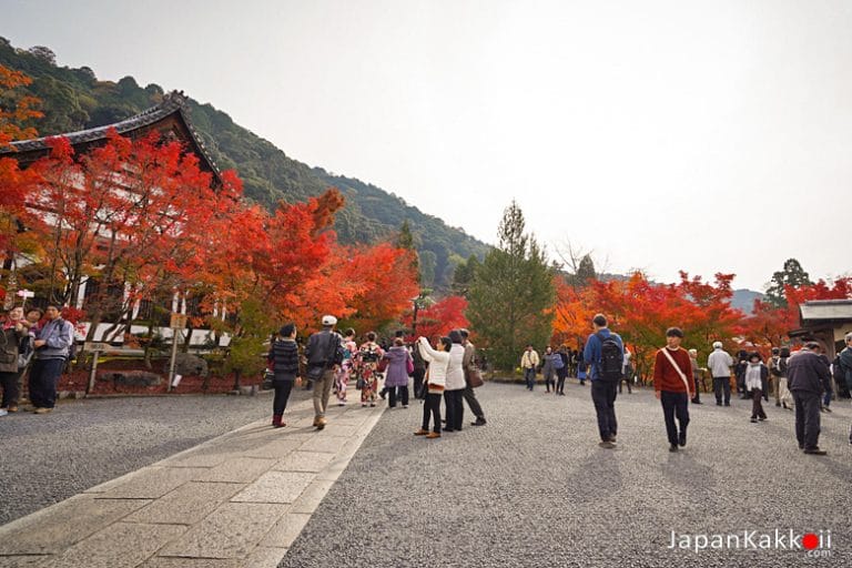 [รีวิว] วัดเอคันโด (Eikando Temple) ชมใบไม้เปลี่ยนสีสวยๆ ในเกียวโต
