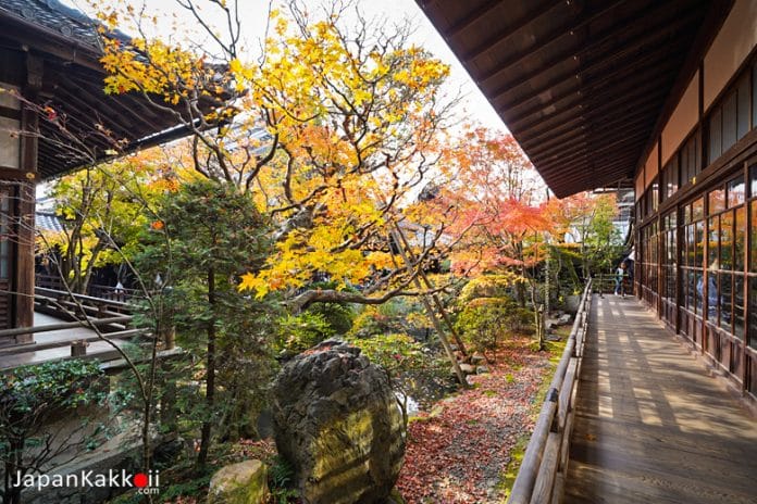 [รีวิว] วัดเอคันโด (Eikando Temple) ชมใบไม้เปลี่ยนสีสวยๆ ในเกียวโต