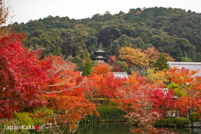 [รีวิว] วัดเอคันโด (Eikando Temple) ชมใบไม้เปลี่ยนสีสวยๆ ในเกียวโต