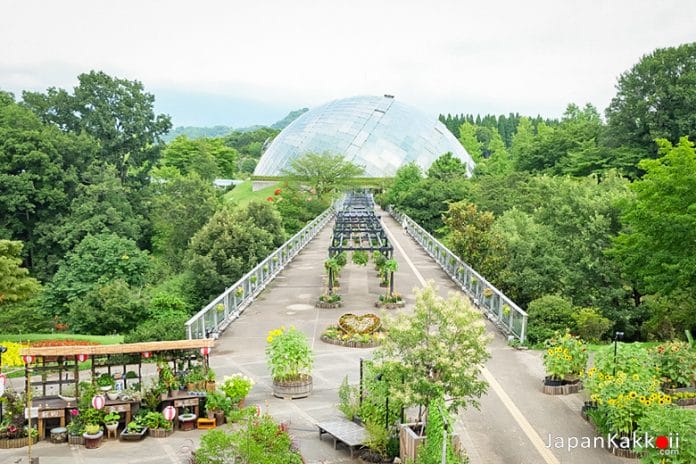 [รีวิว] Tottori Hanakairo Flower Park สวนดอกไม้ในจังหวัดทตโตริ