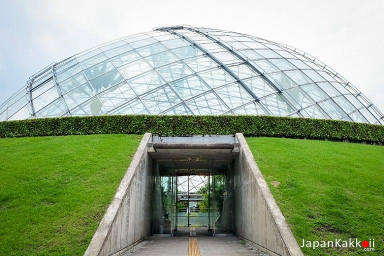 [รีวิว] Tottori Hanakairo Flower Park สวนดอกไม้ในจังหวัดทตโตริ