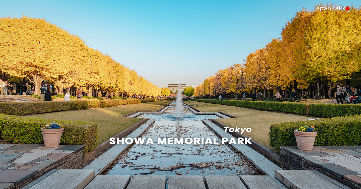 [รีวิว] สวน Showa Memorial Park ชมใบไม้เปลี่ยนสีสุดอลัง!
