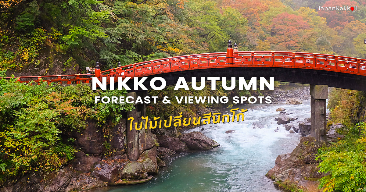 17 จุดชมใบไม้เปลี่ยนสี นิกโก้ (Nikko) พร้อมตารางพยากรณ์ 2025